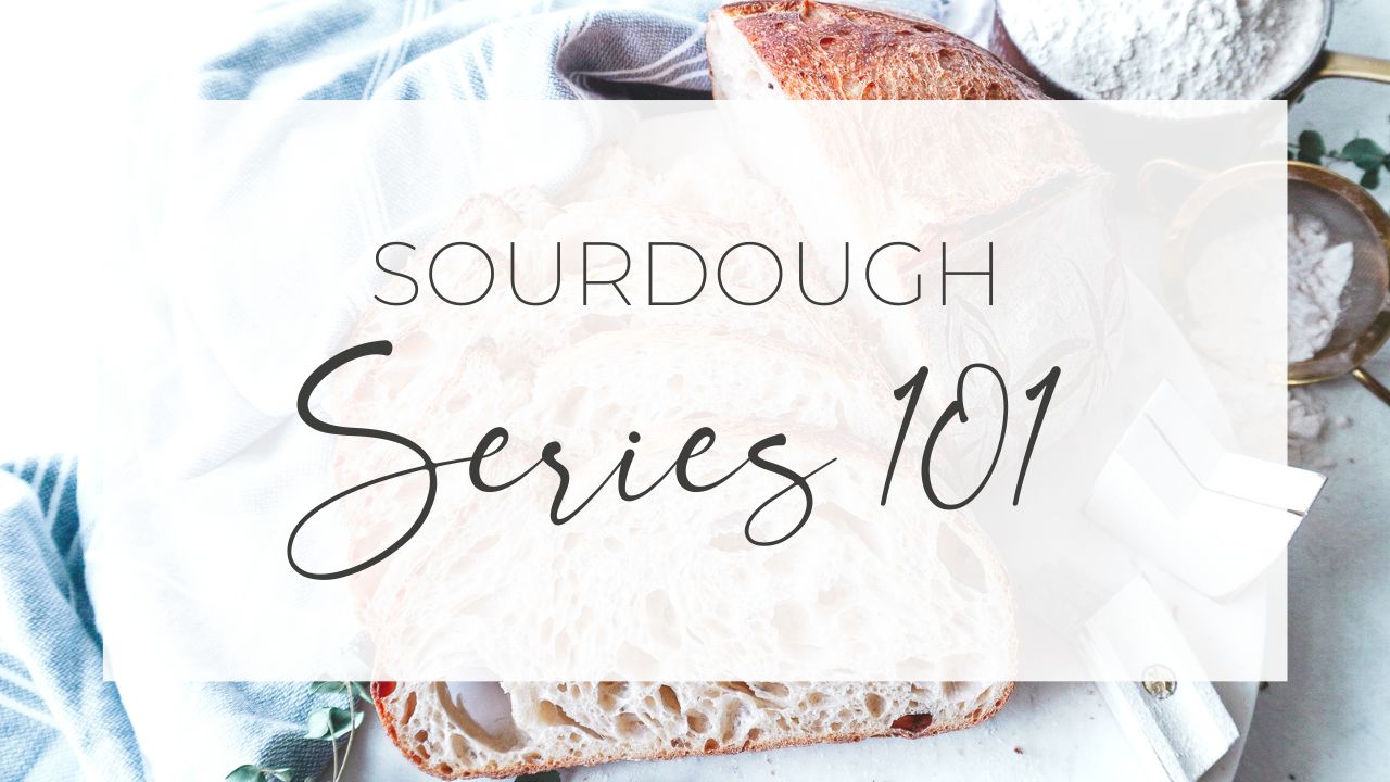 Sourdough Series 101 Course – Sourdough Source